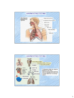 ΜΥΕΣ ΤΟΥ ΘΩΡΑΚΑ ΩΜΟΘΩΡΑΚΙΚΟΙ